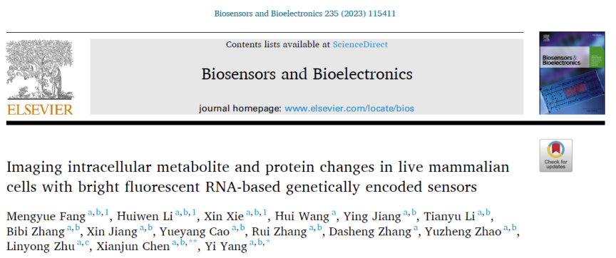 【创新前沿】Biosensors and Bioelectronics报道我院遗传编码荧光RNA探针研究的重要进展